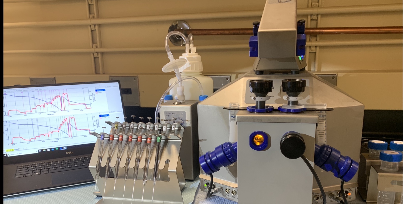 Mitochondrial Function Core (MiFC) – Laboratory of Muscle Biology and ...