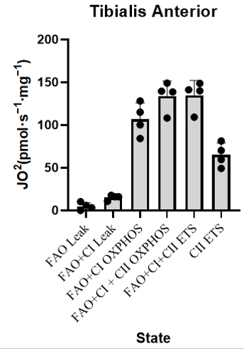 Mitochondrial Function Core (MiFC) – Laboratory of Muscle Biology and ...
