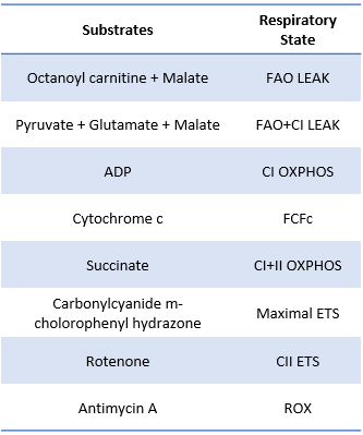 Mitochondrial Function Core (MiFC) – Laboratory of Muscle Biology and ...